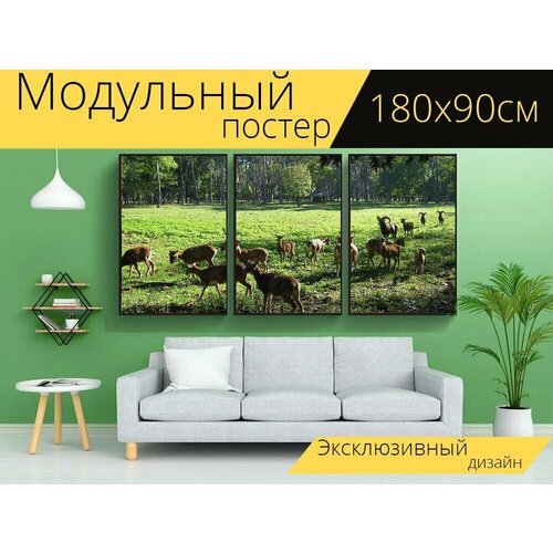 Модульный постер "Овец, козел, рога" 180 x 90 см. для интерьера