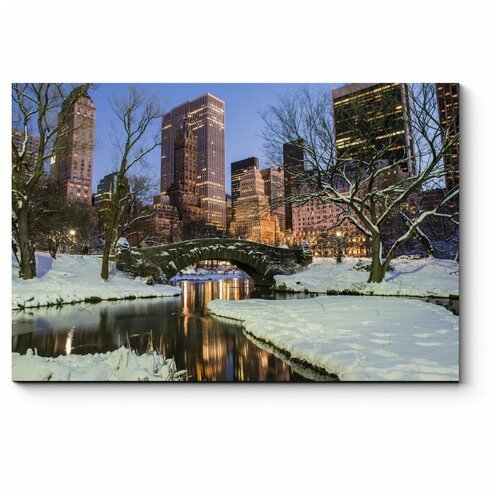 Модульная картина Зимний вид Центрального Парка110x73