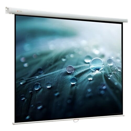 Рулонный матовый белый экран ViewScreen Lotus WLO-16905, 120", белый