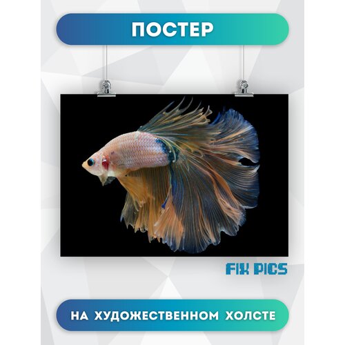 Постер на холсте Рыба (20) 50х70 см