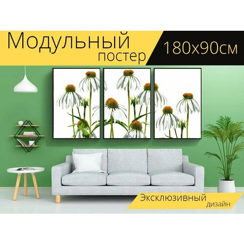 Модульный постер "Цветочный луг, цветок, полевые цветы" 180 x 90 см. для интерьера