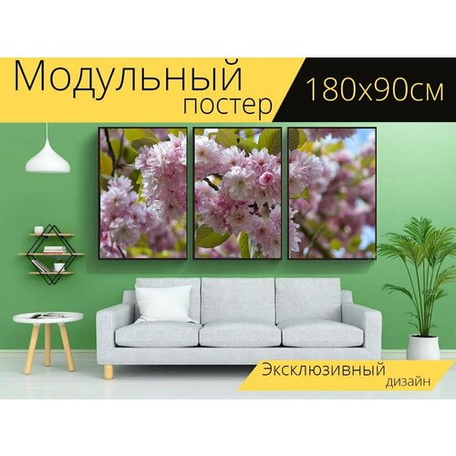 Модульный постер "Вишня в цвету, парк, весна" 180 x 90 см. для интерьера