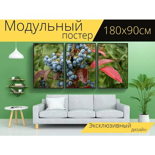 Модульный постер "Махони, барбарис, berberis aquifolium" 180 x 90 см. для интерьера
