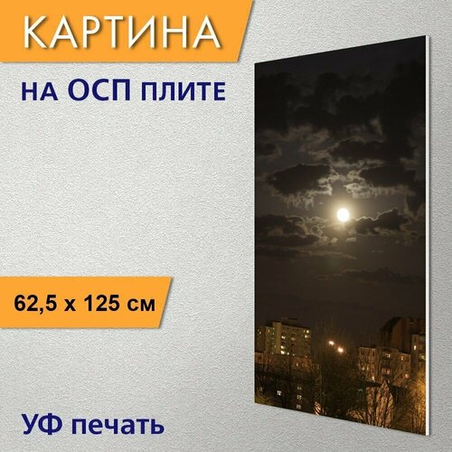 Вертикальная картина на ОСП "Луна, полный, ночь" 62x125 см. для интерьериа