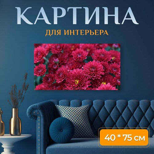 Картина на холсте "Хризантема, красные цветки, красный" на подрамнике 75х40 см. для интерьера