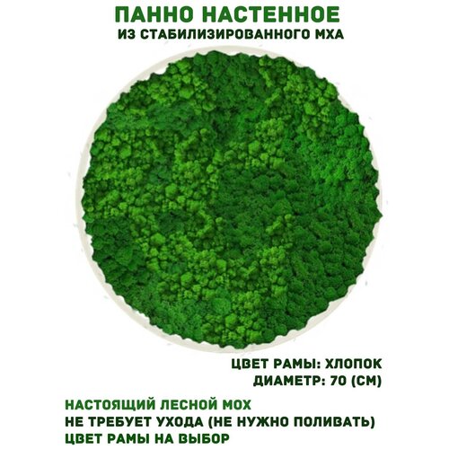 Круглое панно из стабилизированно мха GardenGo в рамке цвета хлопок, диаметр 70 см, цвет мха зеленый