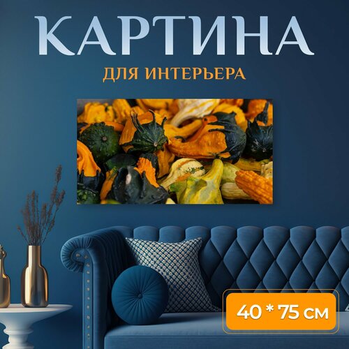 Картина на холсте "Тыква, овощи, уборка урожая" на подрамнике 75х40 см. для интерьера