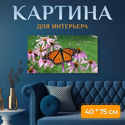 Картина на холсте "Монарх, бабочка, розовый" на подрамнике 75х40 см. для интерьера
