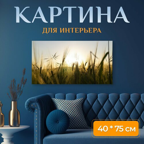 Картина на холсте "Зерновой, пшеница, поле" на подрамнике 75х40 см. для интерьера