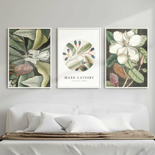 Постер 3 шт 40х50 без рамки "Тропические цветы" набор картин для интерьера
