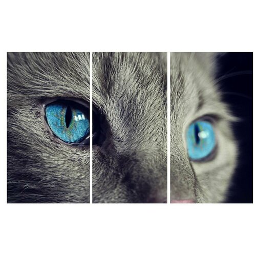Модульная картина на Холсте - "Голубоглазая кошка", размер 120х80 см