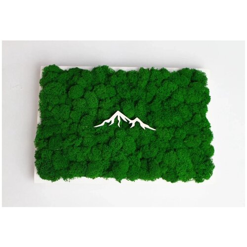 Живая эко-картина для интерьера 20х30см с изображением "Горы" (малый силуэт), белый/зелёный