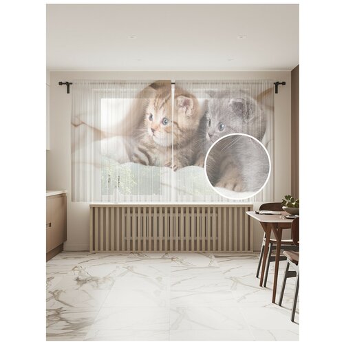 Тюль для кухни и спальни JoyArty "Милые кошечки", 2 полотна со шторной лентой шириной по 145 см, высота 180 см.