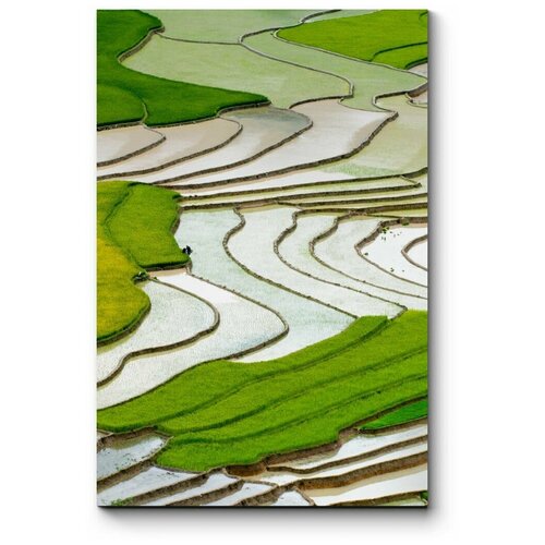 Модульная картина Рисовое поле в Му Чан Чай 40x60