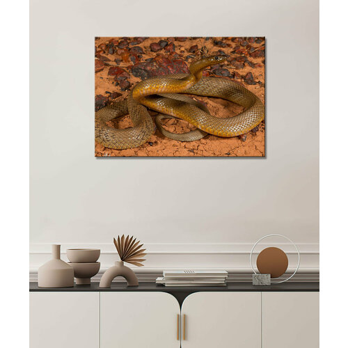 Картина - змея, тайпан, жестокая змея, ядовитая змея, большая змея, кожа змеи (3) 50х70