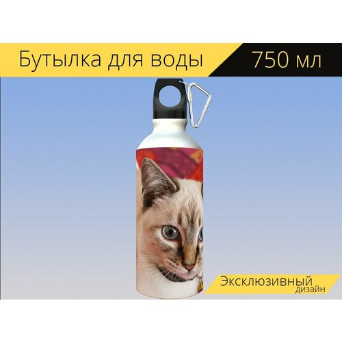 Бутылка фляга для воды "Кошка, кошачий, милый" 750 мл. с карабином и принтом
