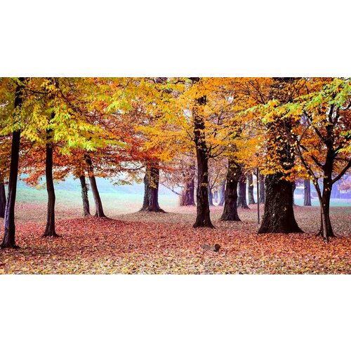 Картина на холсте 60x110 Альянс Лес "Природа Деревья Парк Осень Листва" на подрамнике / интерьер/ декор