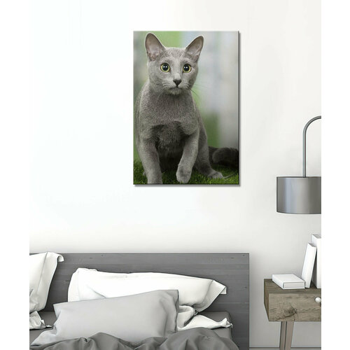 Картина - кошка, русская голубая кошка, домашняя кошка, ласковая кошка, короткошерстная кошка, кот (72) 50х70