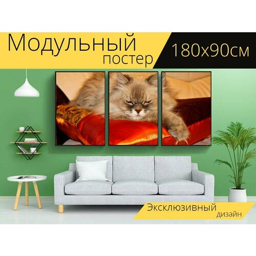 Модульный постер "Кот, кошки, морда кошки" 180 x 90 см. для интерьера