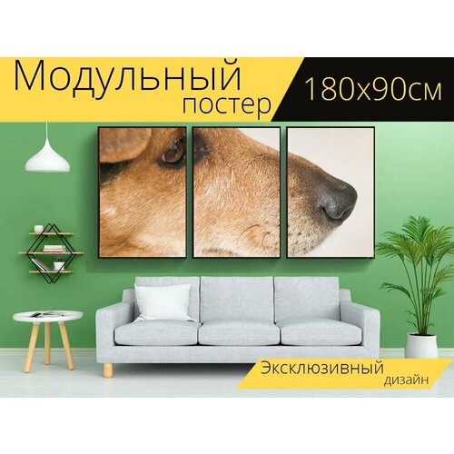 Модульный постер "Собака, гибридный, смешанные породы собак" 180 x 90 см. для интерьера