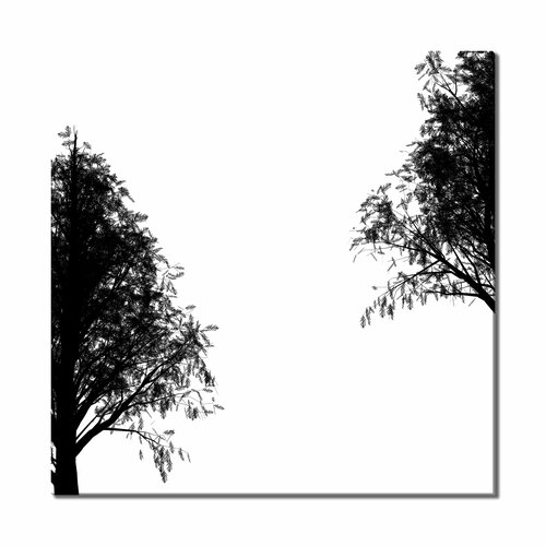 Картина для интерьера на холсте, "Деревья черное-белое" хай-тек 80х80, холст без подрамника