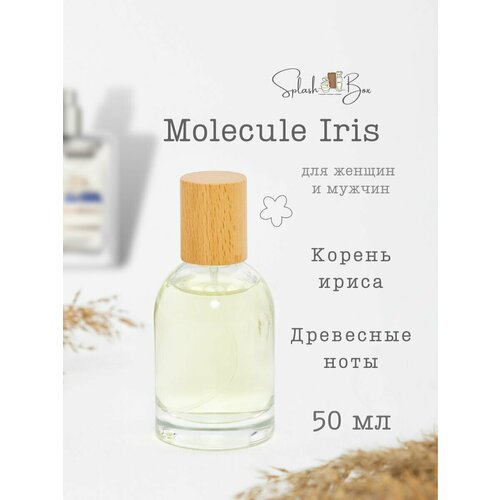 Molecule 01 Iris духи стойкие