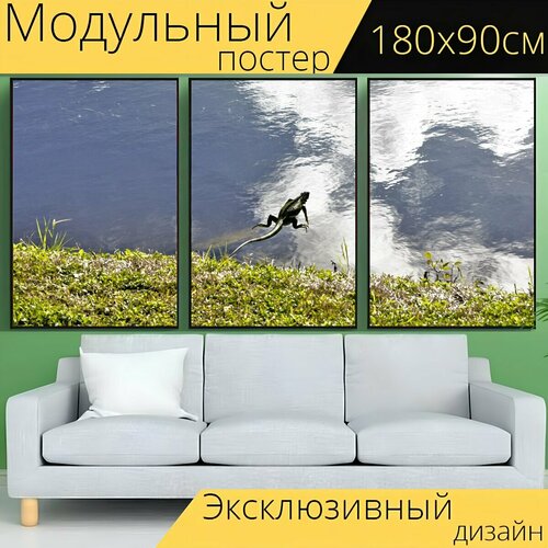 Модульный постер "Игуана, прыжки в реку, воздухе" 180 x 90 см. для интерьера
