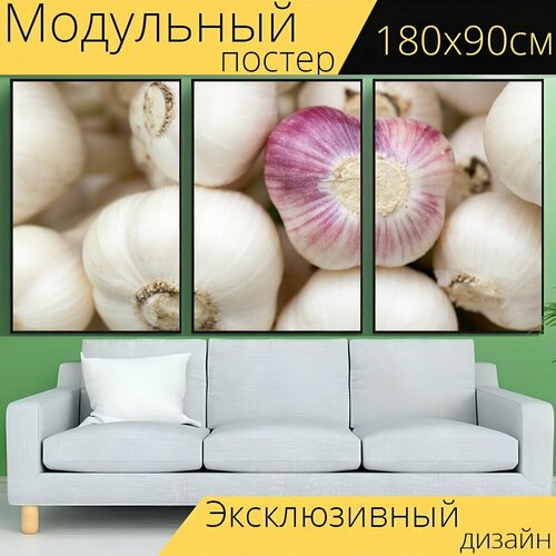 Модульный постер "Чеснок, луковицы, овощи" 180 x 90 см. для интерьера