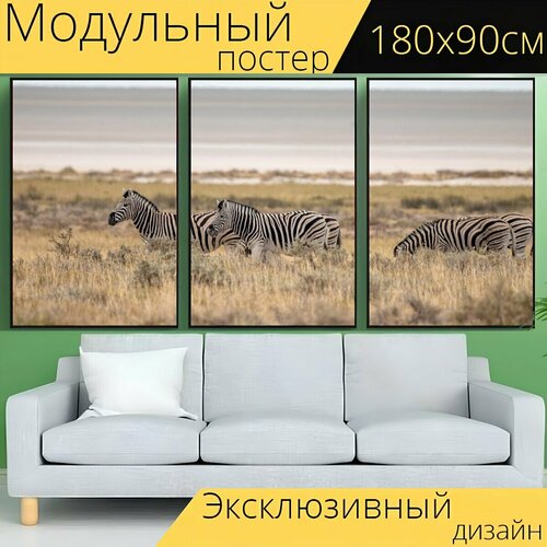 Модульный постер "Животные, африке, зебра" 180 x 90 см. для интерьера