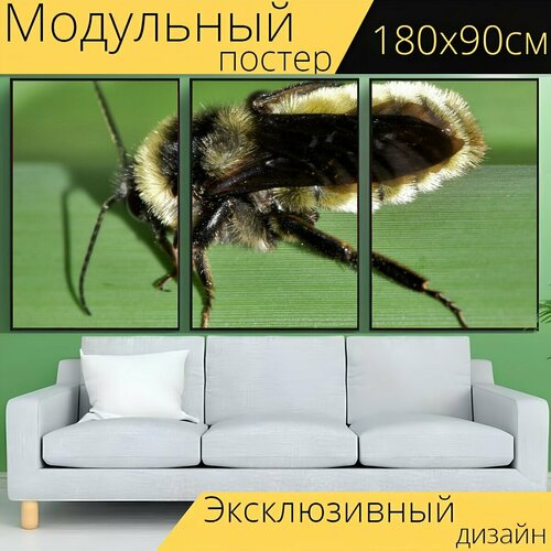 Модульный постер "Пчела, шмель, насекомое" 180 x 90 см. для интерьера
