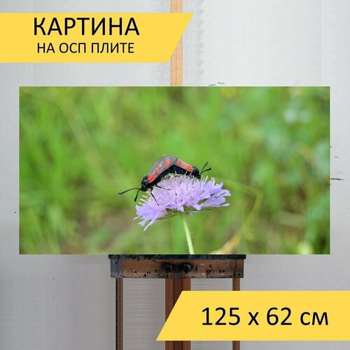 Картина на ОСП 125х62 см. "Бабочки, спаривание, насекомые" горизонтальная, для интерьера, с креплениями