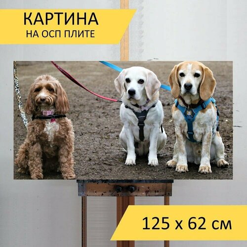 Картина на ОСП 125х62 см. "Собаки, домашние питомцы, милый" горизонтальная, для интерьера, с креплениями