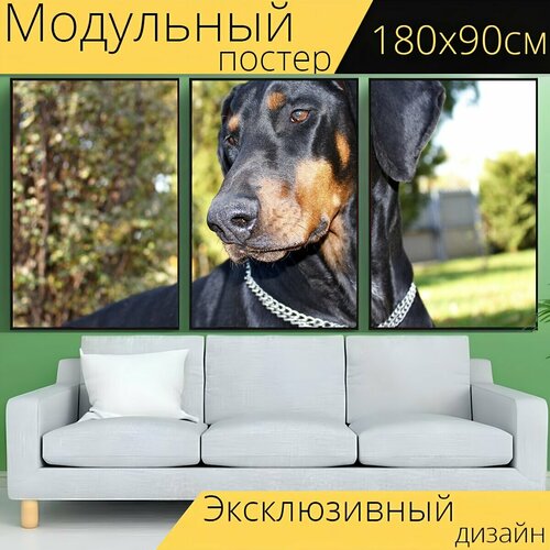Модульный постер "Собака, животное, портрет" 180 x 90 см. для интерьера