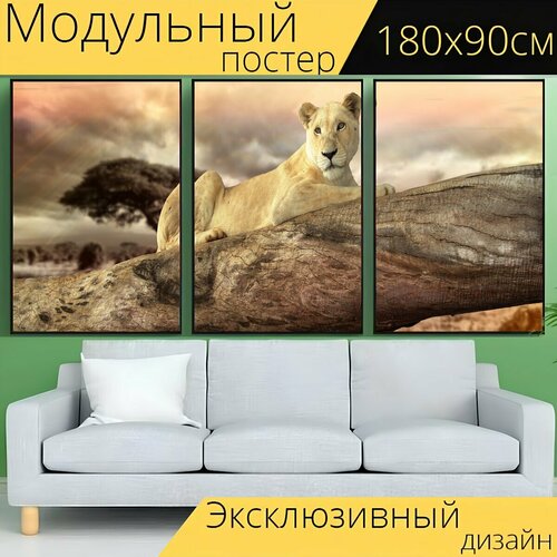 Модульный постер "Африке, львица, хищник" 180 x 90 см. для интерьера