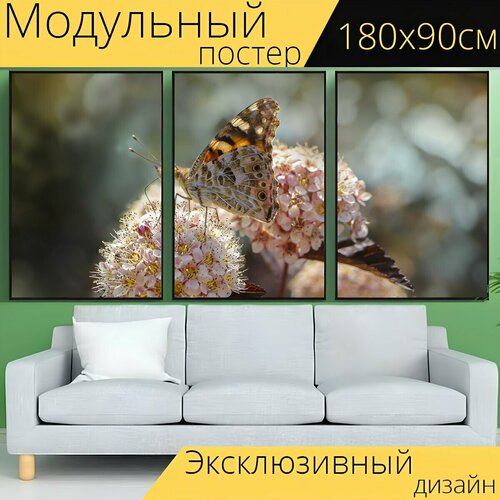 Модульный постер "Бабочка, бабочки, насекомое" 180 x 90 см. для интерьера