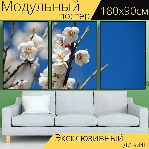 Модульный постер "Цветение сливы, весна, весенние цветы" 180 x 90 см. для интерьера