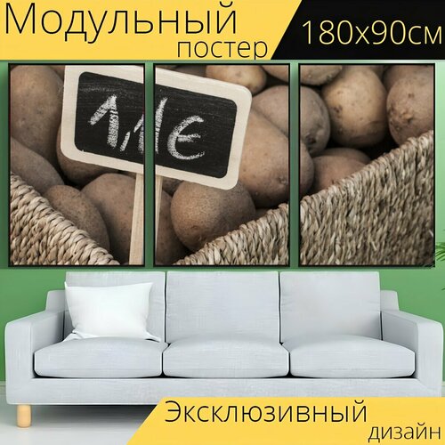 Модульный постер "Овощи, картошка, корзина" 180 x 90 см. для интерьера