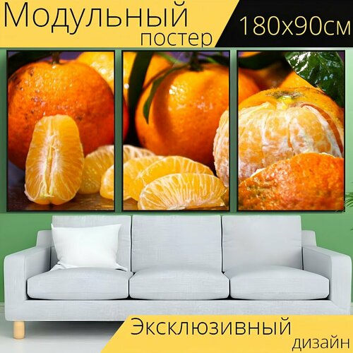Модульный постер "Апельсины, фрукты, сочный" 180 x 90 см. для интерьера