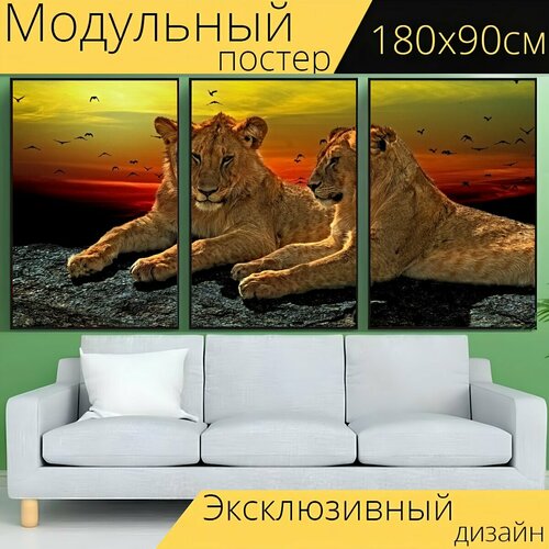 Модульный постер "Львы, кошки, шерсть" 180 x 90 см. для интерьера