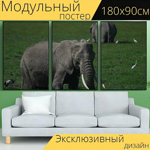 Модульный постер "Слоны, цапли, африка" 180 x 90 см. для интерьера