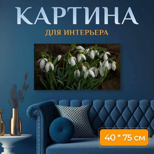 Картина на холсте "Подснежник, весна, природа" на подрамнике 75х40 см. для интерьера