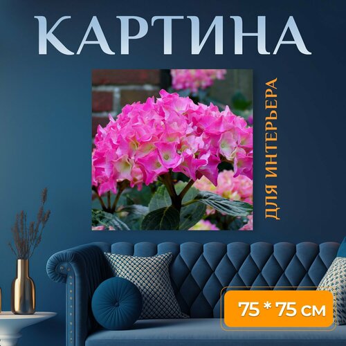 Картина на холсте "Гортензия, цветок, цветы" на подрамнике 75х75 см. для интерьера