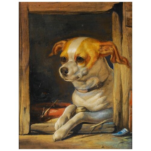 Репродукция на холсте Пес (Dog) №4 Вэнеман Томас 50см. x 65см.