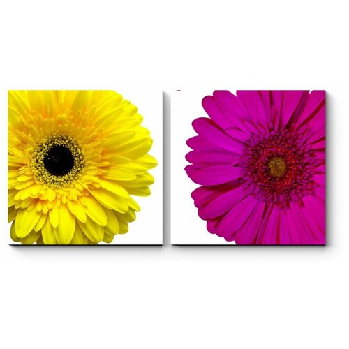 Модульная картина Насыщенность цветочных красок90x45
