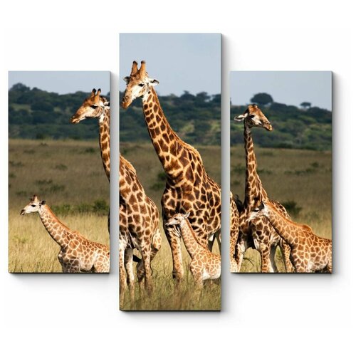 Модульная картина Большая семья жирафов 110x99