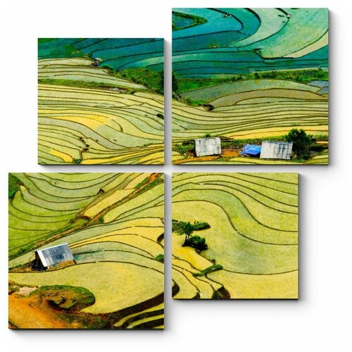 Модульная картина Рисовые поля в провинции Вьетнама 50x50