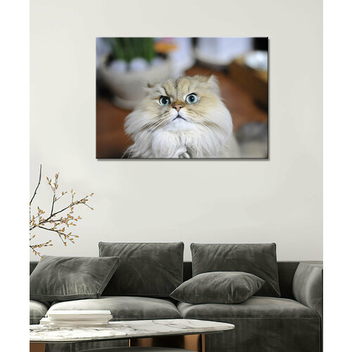 Картина - кошка, персидская кошка, домашняя кошка, ласковая кошка, кот (300) 60х80
