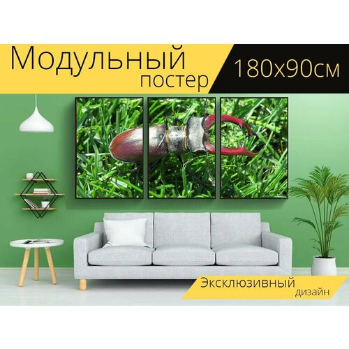 Модульный постер "Жуколень, насекомое, луг" 180 x 90 см. для интерьера