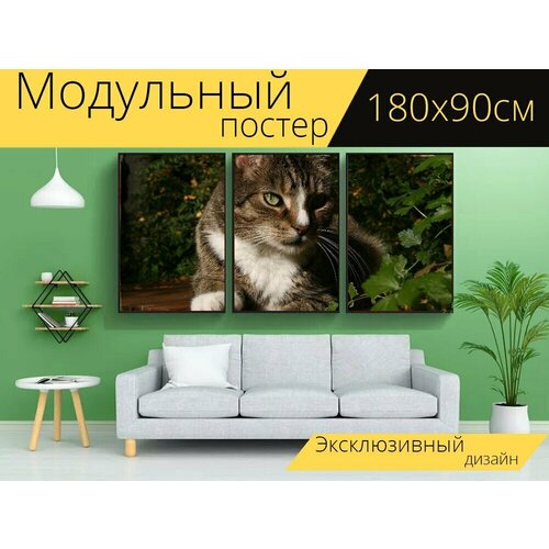 Модульный постер "Кот, похмелье, скумбрия" 180 x 90 см. для интерьера