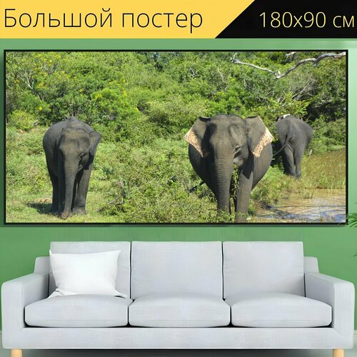 Большой постер "Слоны, семья, слоненок" 180 x 90 см. для интерьера